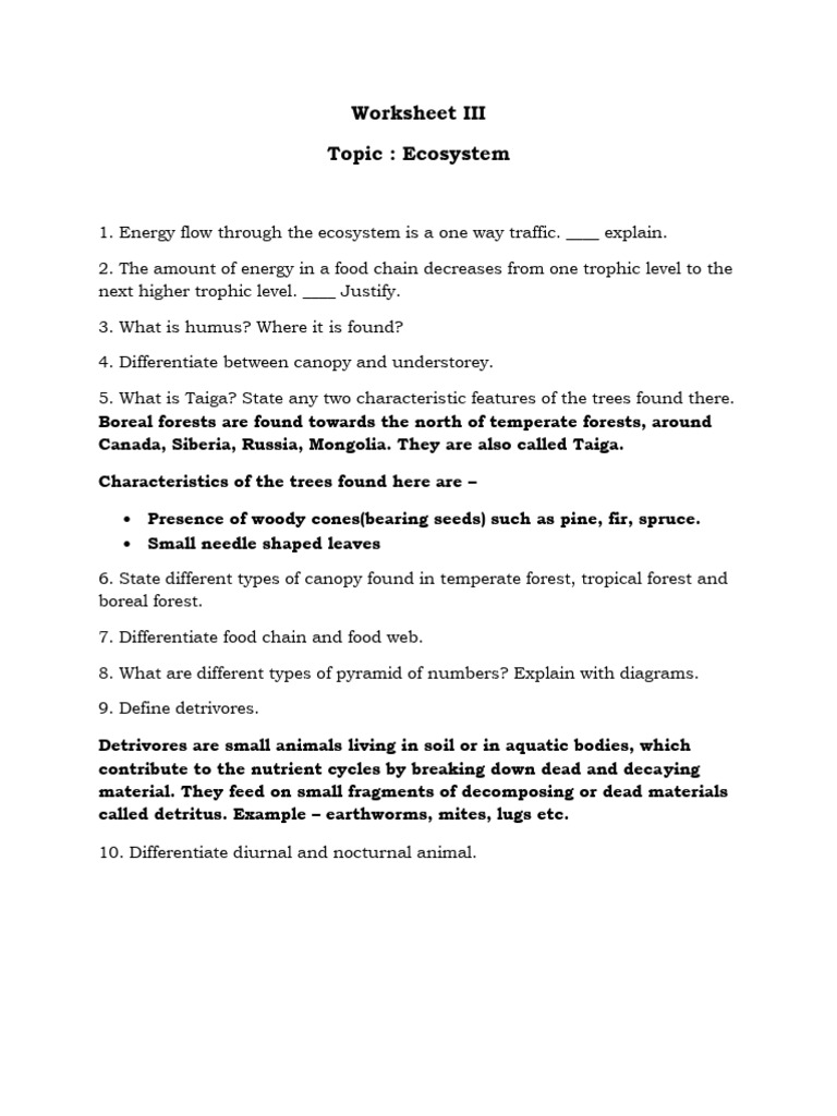 Worksheet III Ecosystem | PDF