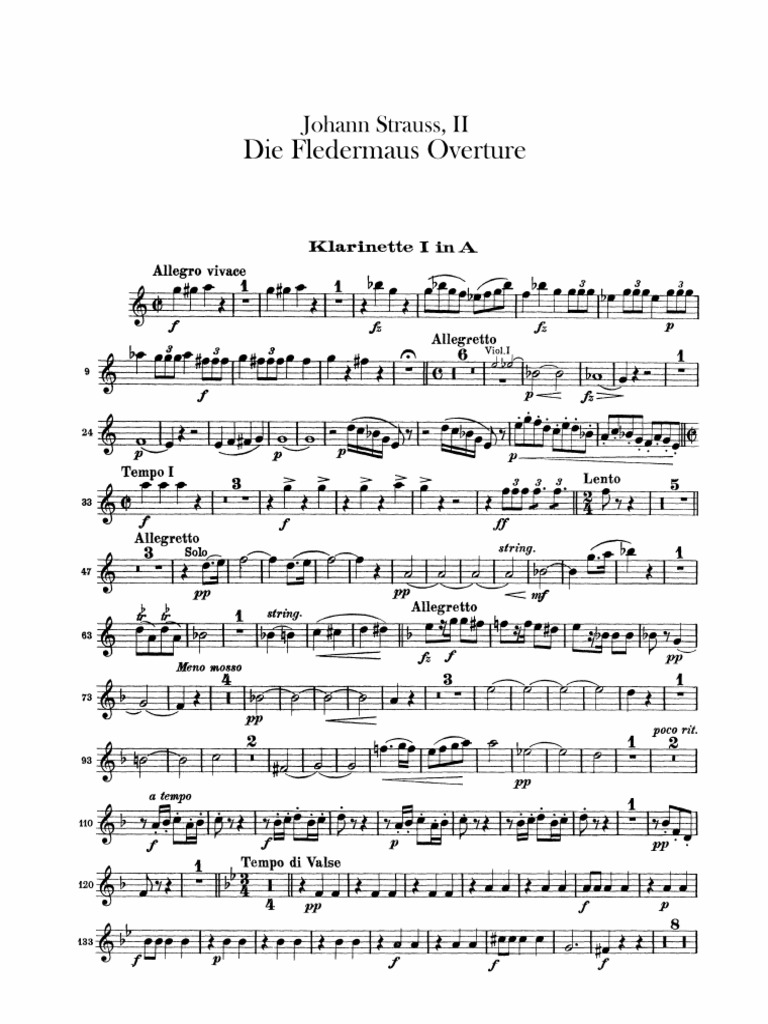 Fledermaus CL 1 | PDF