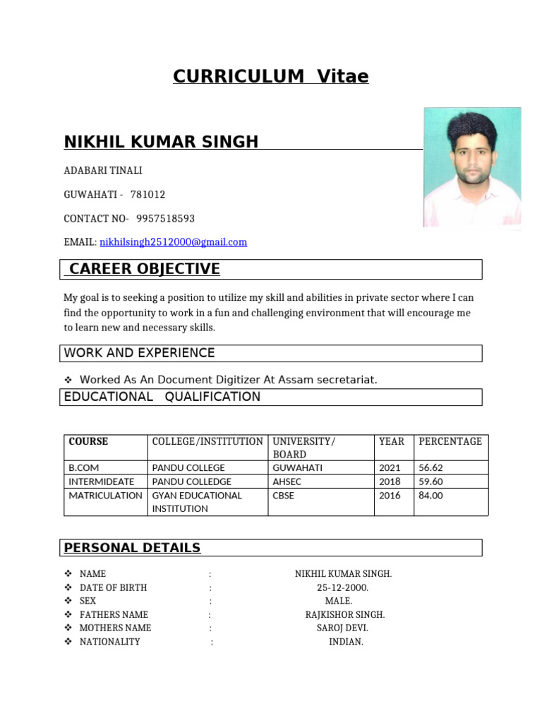 Nikhil Kumar Singh's CV and Experience | PDF