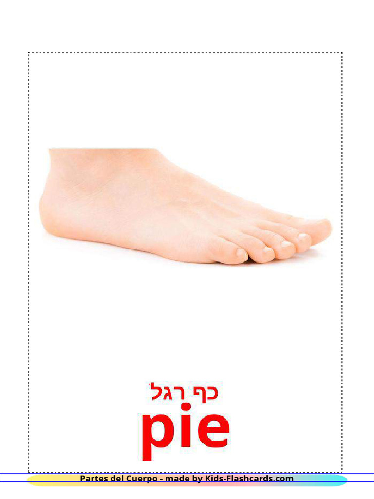 Tarjetas de Partes Del Cuerpo Autor Kids Flashcard | PDF