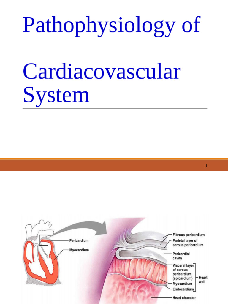 11 Pathophysiologyof Cardiacovascular (1) 2 | PDF | Heart | Heart Valve