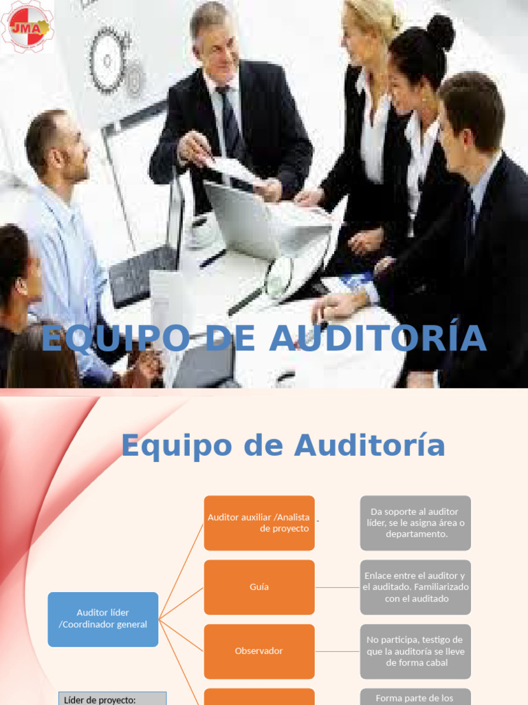 Estructura y Funciones del Equipo de Auditoría | PDF | Toma de ...