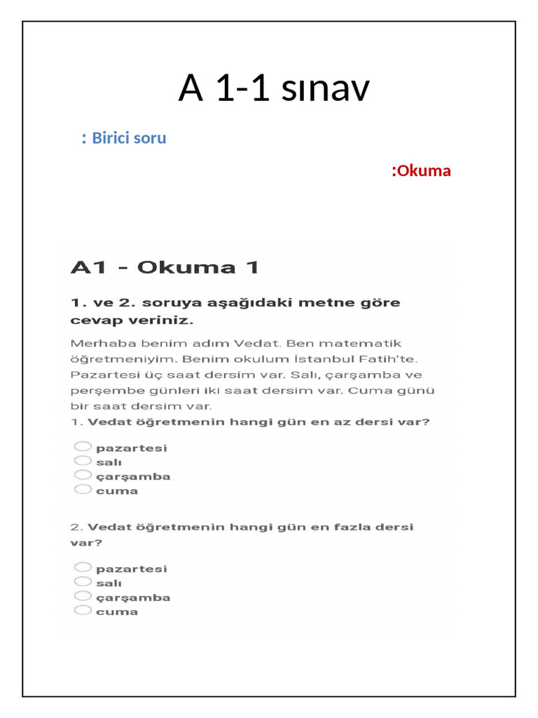 A1-1 Sınav | PDF