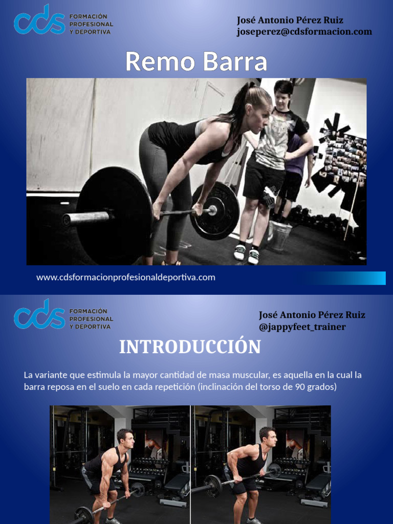 Ejercicios Basicos de Traccion | PDF | Sistema musculoesquelético