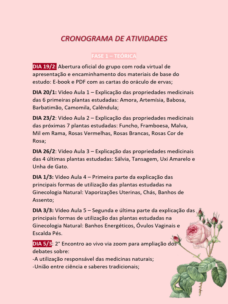 Cronograma Gee4 | PDF