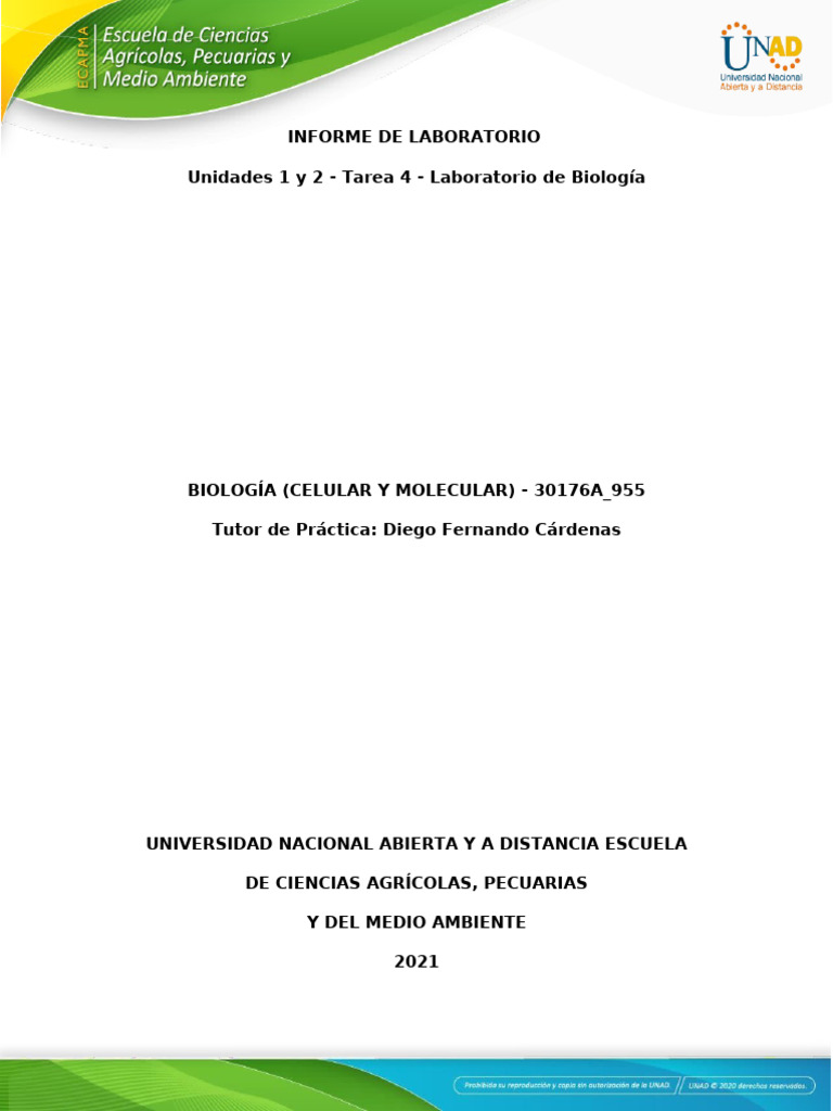 Formato Informe de Laboratorio Final | PDF | Mitosis | Plantas