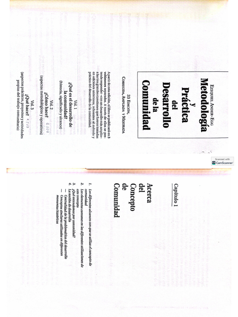 Sesión 3. Taller Ezequiel Ander-Egg Comunidad-1 | PDF