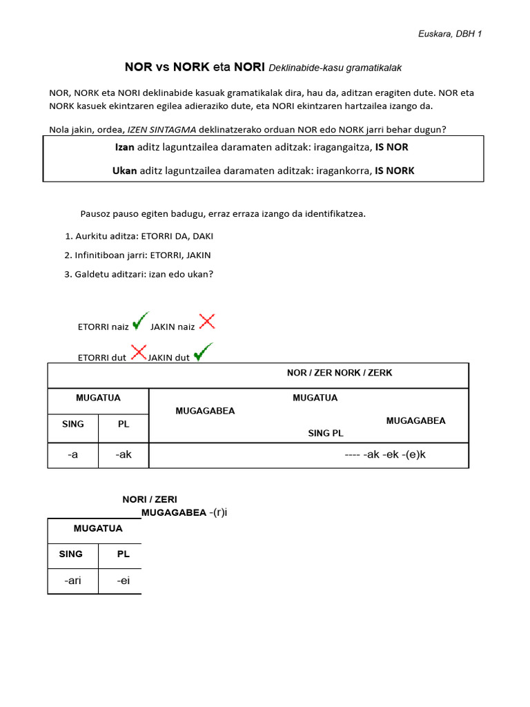 UNITATEA - Deklinabide-Kasu Gramatikalak - NOR Vs NORK Eta NORI | PDF