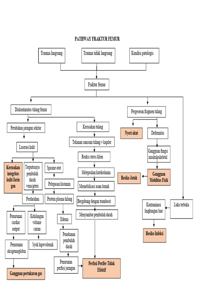 Pathway Fraktur Femur Revisi | PDF