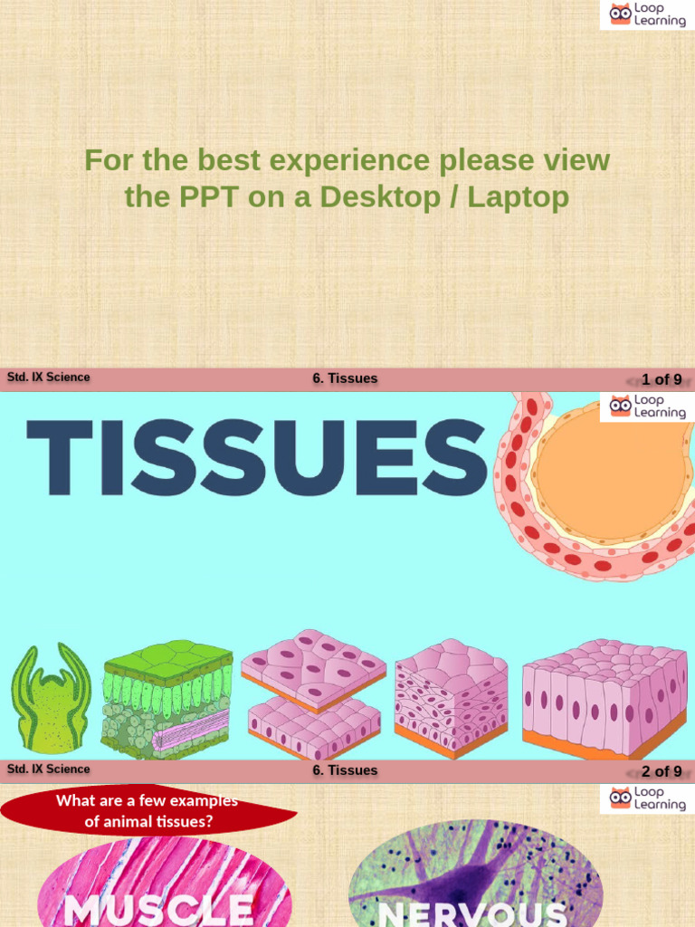 1691148131048.entry Task A2 PA2.1 OE Tissues CH 6 Sci IX CB | PDF | Muscle | Neuron