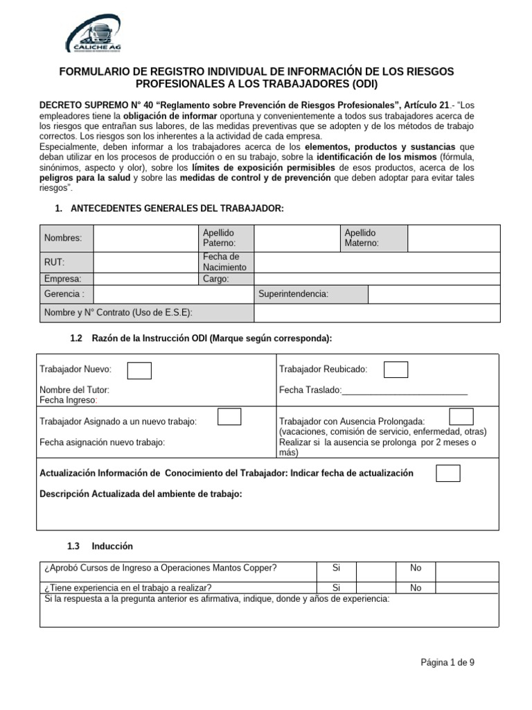 Registro de Riesgos Laborales ODI | PDF | Seguridad y salud ocupacional ...