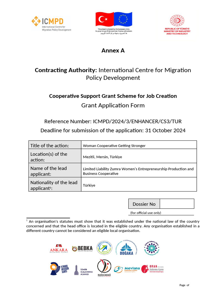 Annex A Grant Application Form 28102024 | PDF | Mentorship | Employment