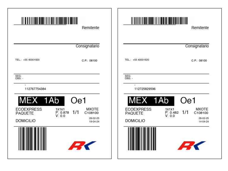 Formato Envio Paquete | PDF