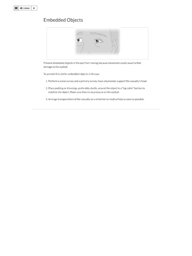 11.6 Embedded Objects | PDF