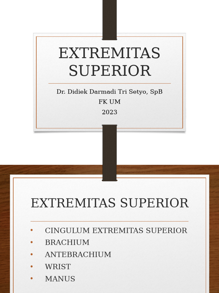 NMS5.1 - Extremitas Superior - Ryo | PDF | Sains & Matematika