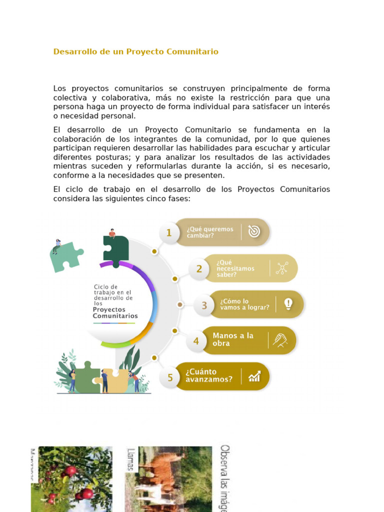 Desarrollo de Un Proyecto Comunitario | PDF