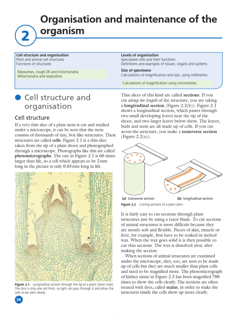 Unit 2 PDF Notes | PDF | Cell (Biology) | Cytoplasm