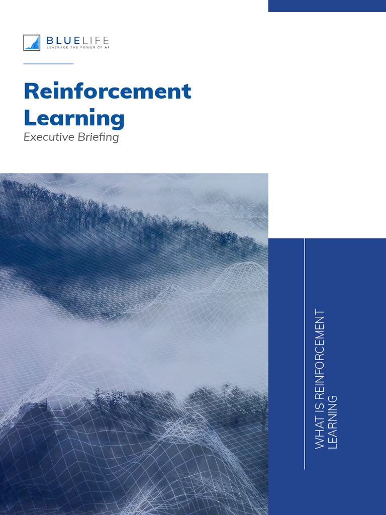 Playbook Executive Briefing Reinforcement Learning | PDF | Machine Learning | Artificial ...