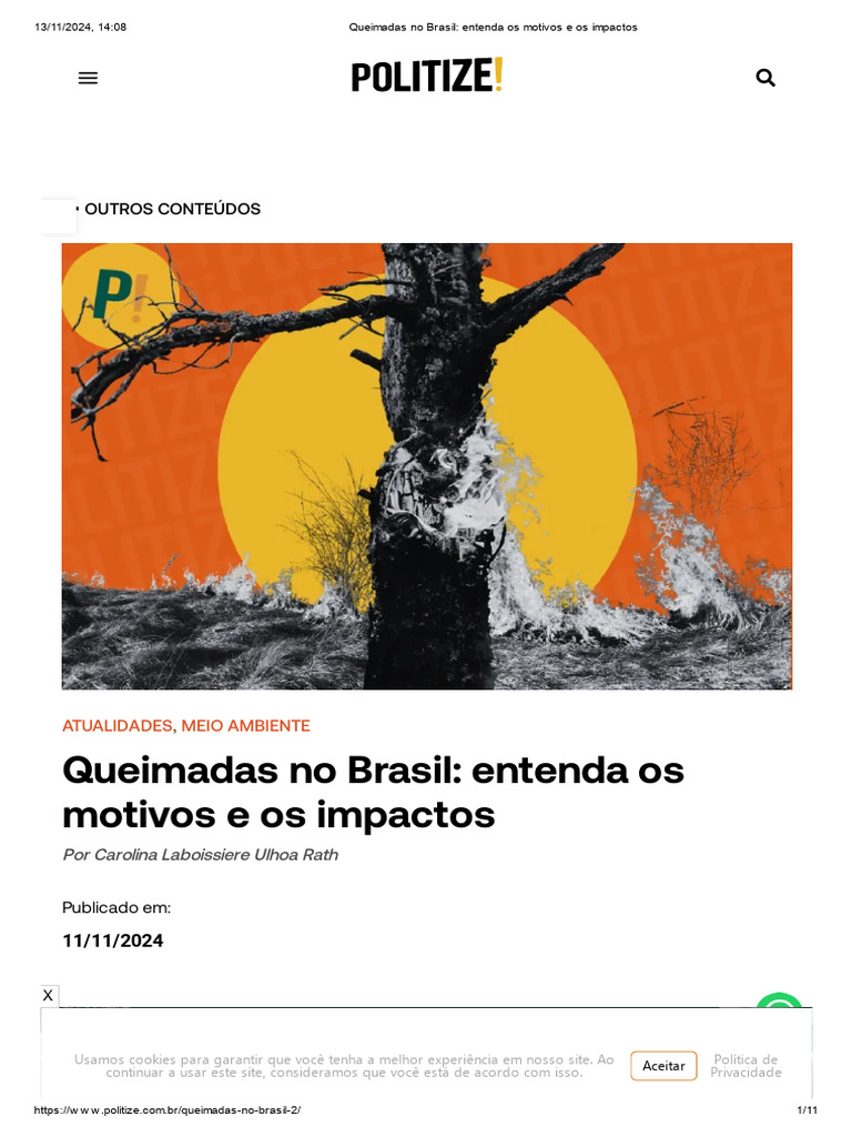 Queimadas No Brasil - Entenda Os Motivos e Os Impactos | PDF | Incêndios | Brasil