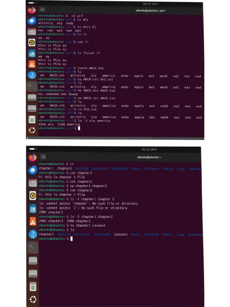 Linux Command Line Basics | PDF | Computers
