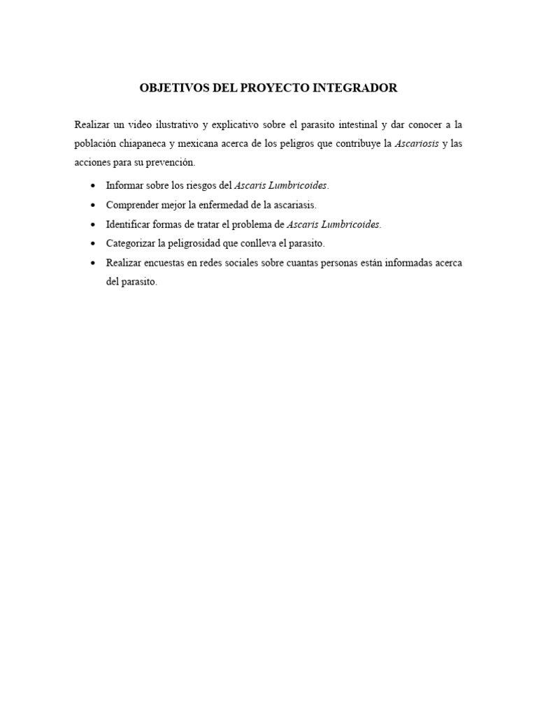 Objetivos Del Proyecto Integrador | PDF