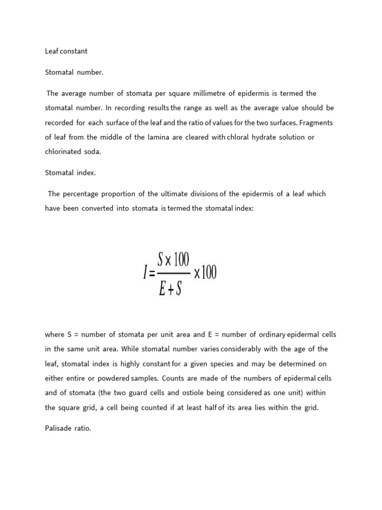 Leaf Constant-WPS Office | PDF | Stoma | Botany