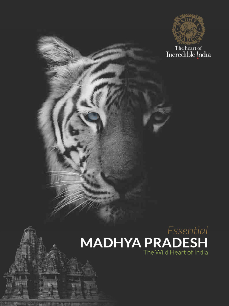 MP Brochure 2020 - English | PDF