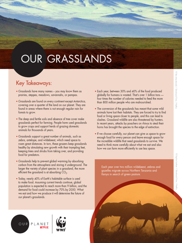 Importance of Grasslands and Wildlife | PDF | Grassland | Natural ...