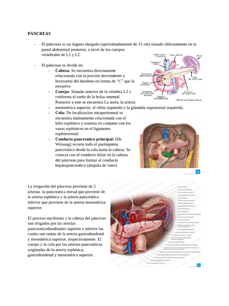 PÁNCREAS | PDF