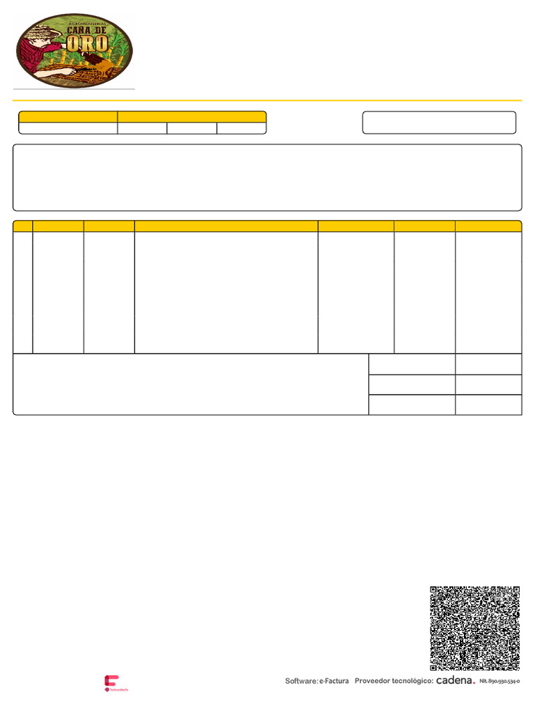 Dian FE2 | PDF | Economias