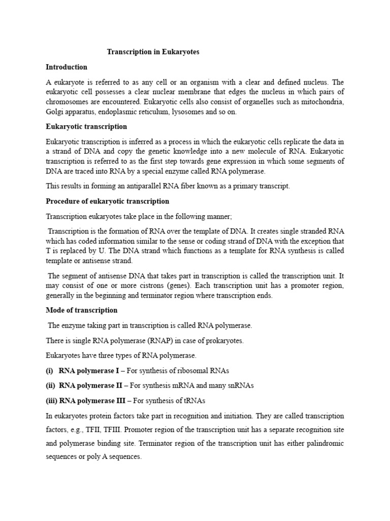 Eukaryotic Transcription Process Explained | PDF | Rna | Dna