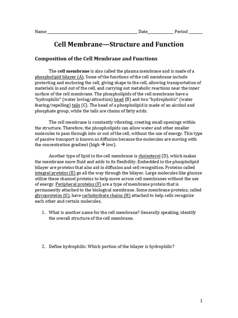 Cell Membrane Structure and Functions | PDF | Cell Membrane | Lipid Bilayer