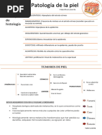 Efélides: Pecas y su Tratamiento | PDF | Piel | Dermatología