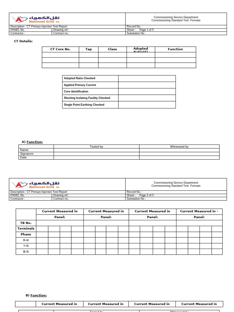 Primary Injection Test Report | PDF