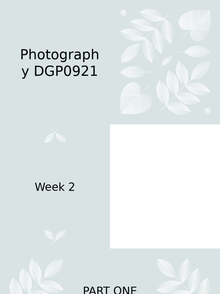 Photography Week Two - Part One - Lenses | PDF | Camera Lens | Zoom Lens