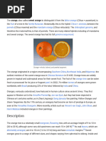 Sweet Orange: History and Cultivation | PDF