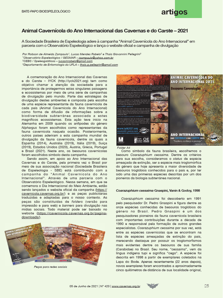 Animal Cavernícola Do Ano Internacional Das Cavernas e Do Carste - 2021 | PDF | Brasil