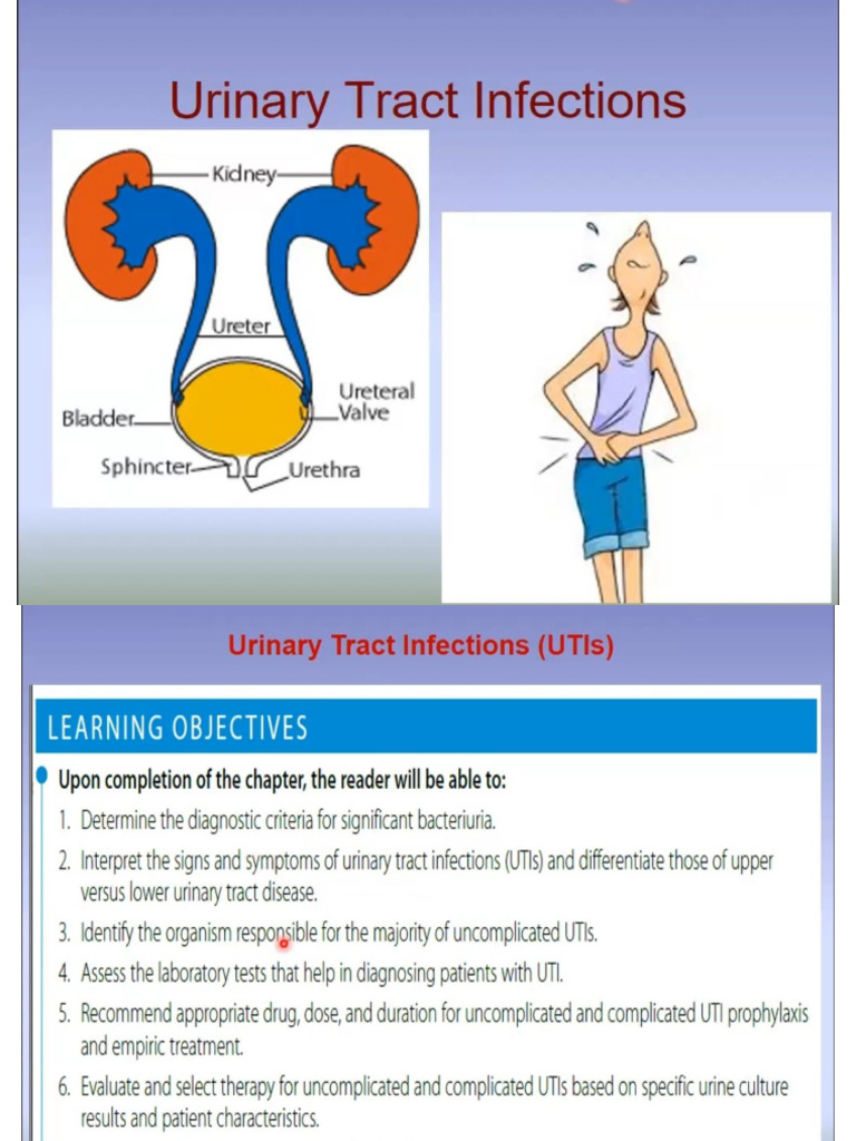 Urinary Tract Infection Pdf
