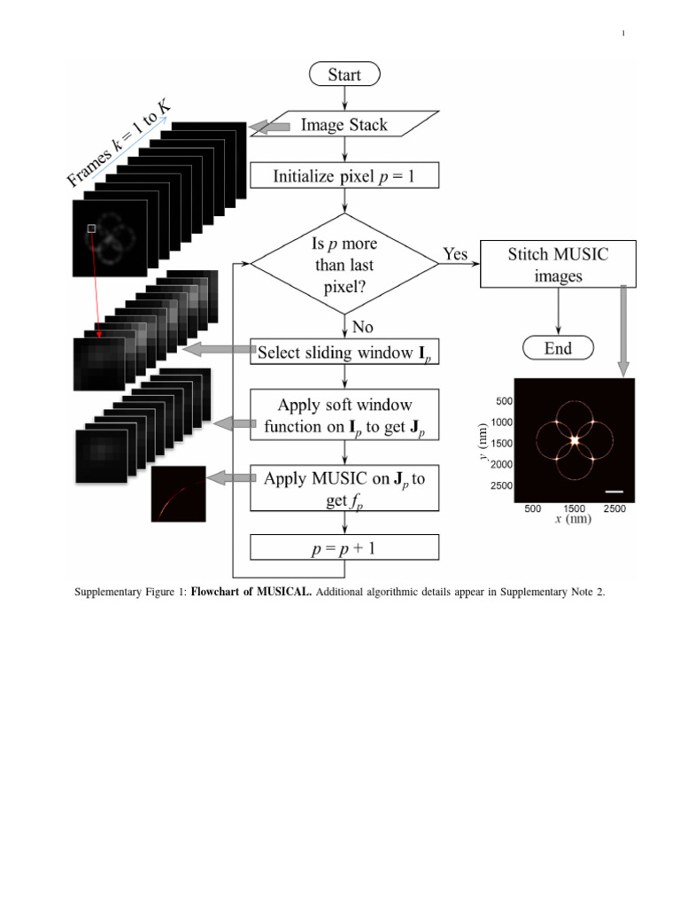 Multiple Signal Classification Algorithm (MUSICAL) Supplmentary Material | PDF | Graphics | Vision