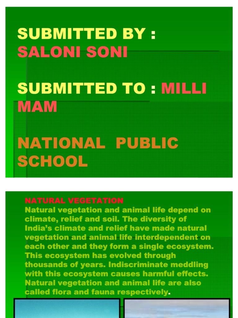 SALONI | PDF | Home & Garden | Science & Mathematics