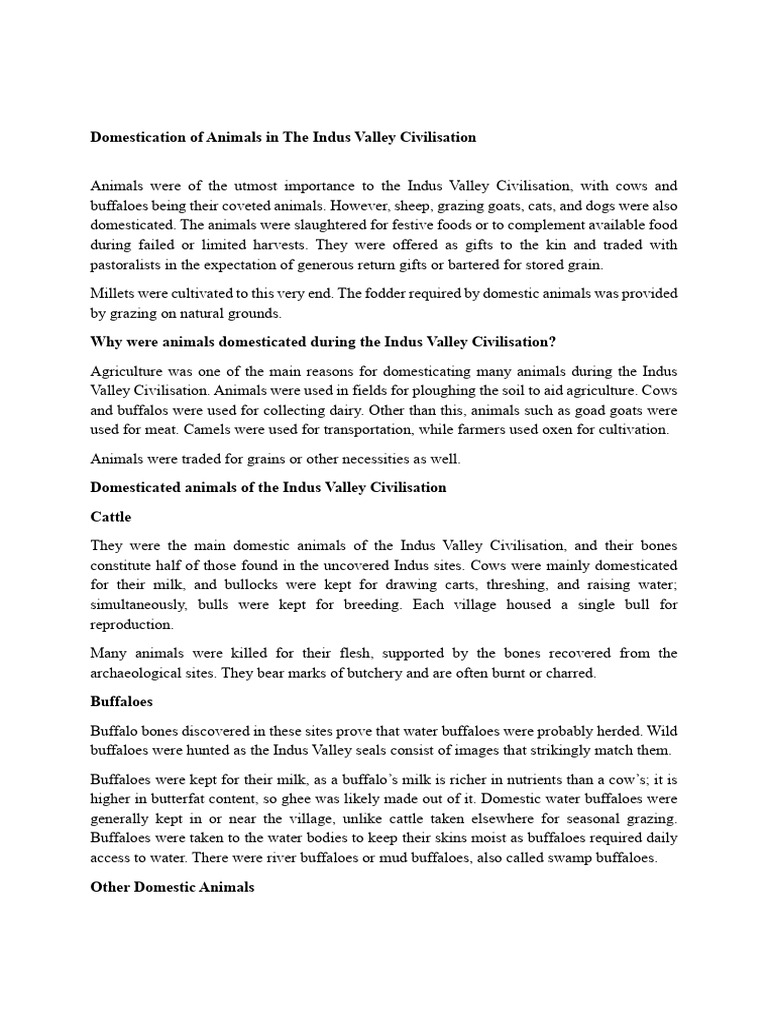 Domestication of Animals in Indus Valley | PDF | Cattle | Domestication