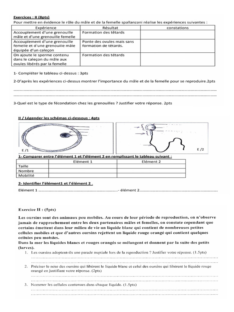 Exercice R | PDF