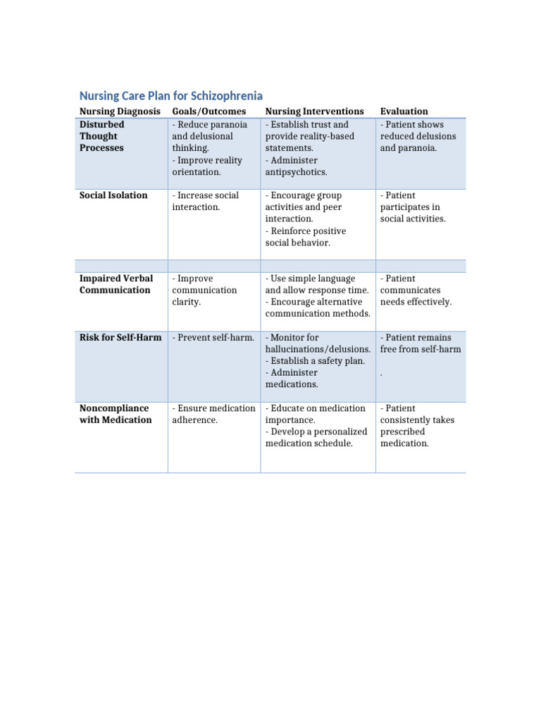 Nursing Care Plan Schizophrenia | PDF