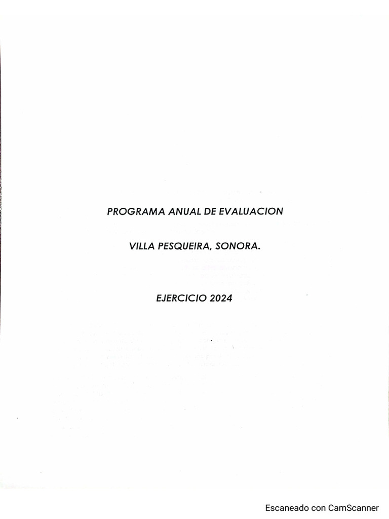 Programa Anual de Evaluación 2024 | PDF