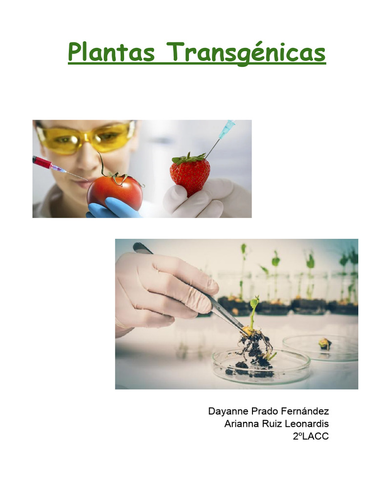 Introducción a Plantas Transgénicas | PDF | Organismo genéticamente ...