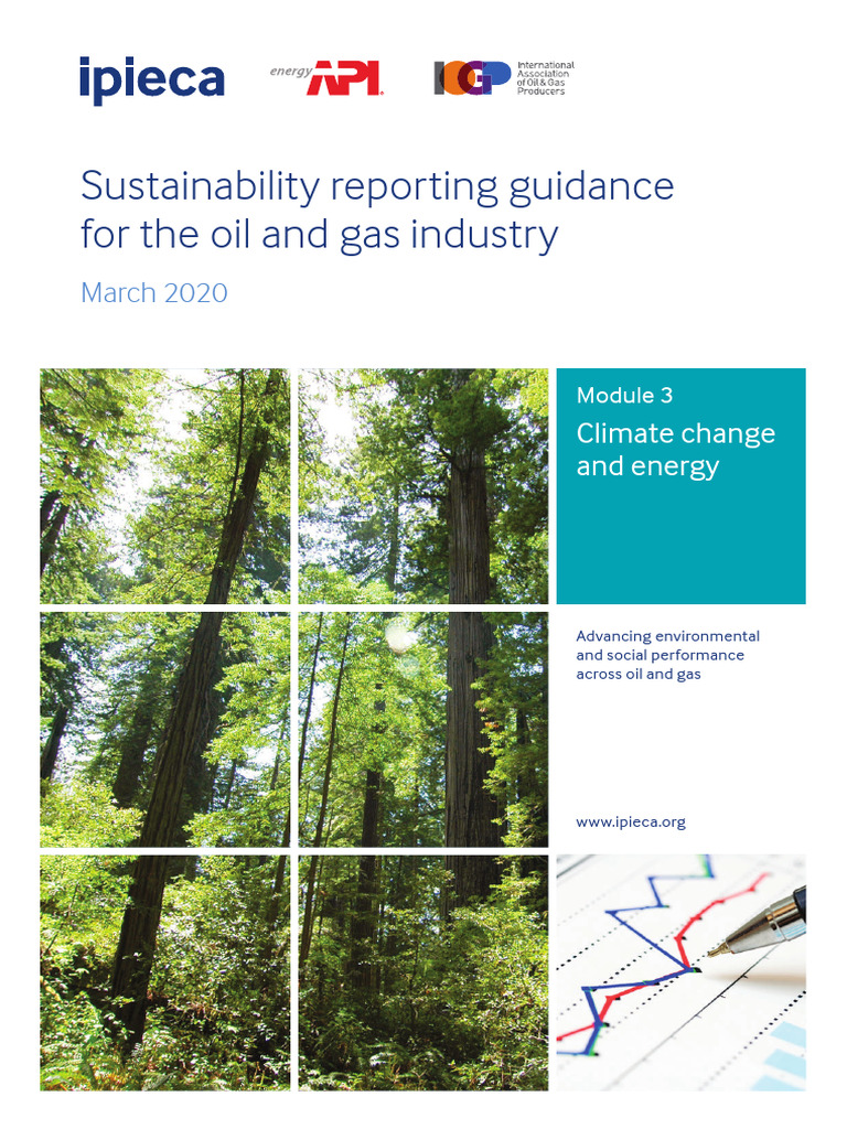 Sustainability Guide for Oil & Gas | PDF | Climate Change | Greenhouse Gas