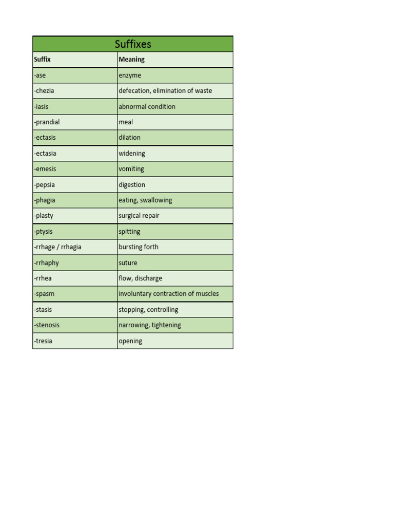 Module 2 Suffixes | PDF