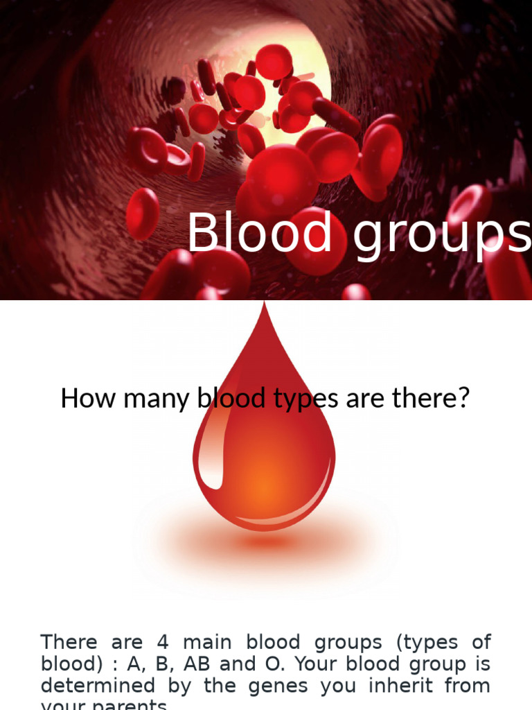 Blood Groups | PDF