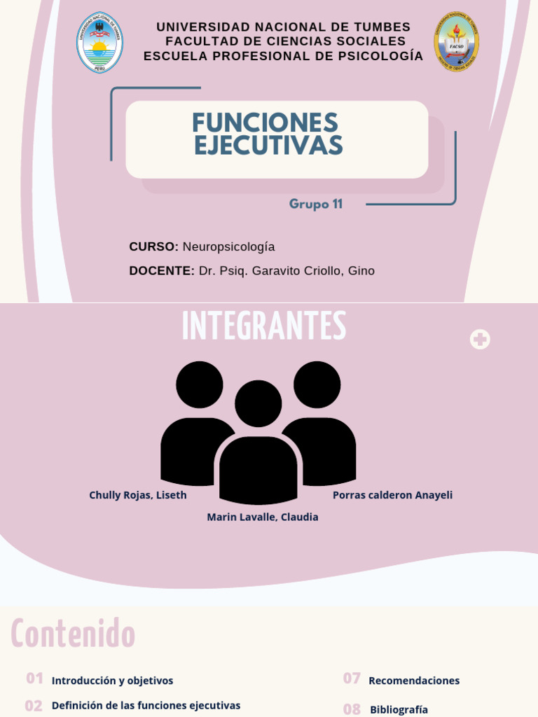 g11 Funciones Ejecutivas | PDF | Funciones ejecutivas | Las emociones