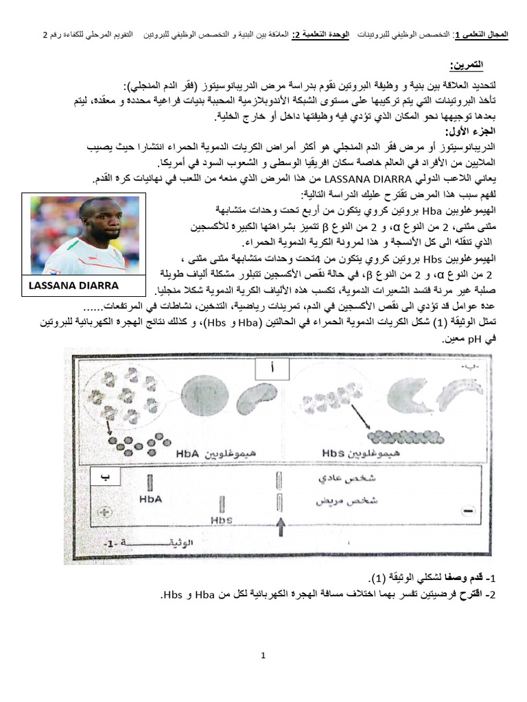 Evaluation N 2 Bac 2025 | PDF